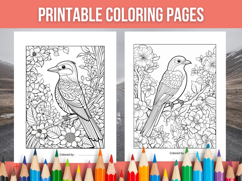 Stress Relief Adult Coloring Book, Bird & Flowers Coloring Pages ...