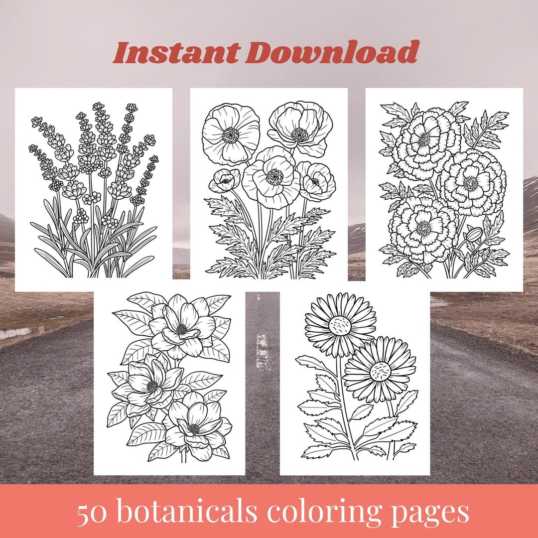 Botanical Coloring Pages, Adult Coloring Flowers, Coloring Sheets PDF ...