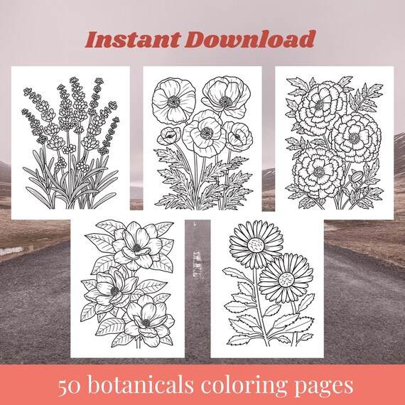 Botanical Coloring Pages Adult Coloring Flowers Coloring - Etsy