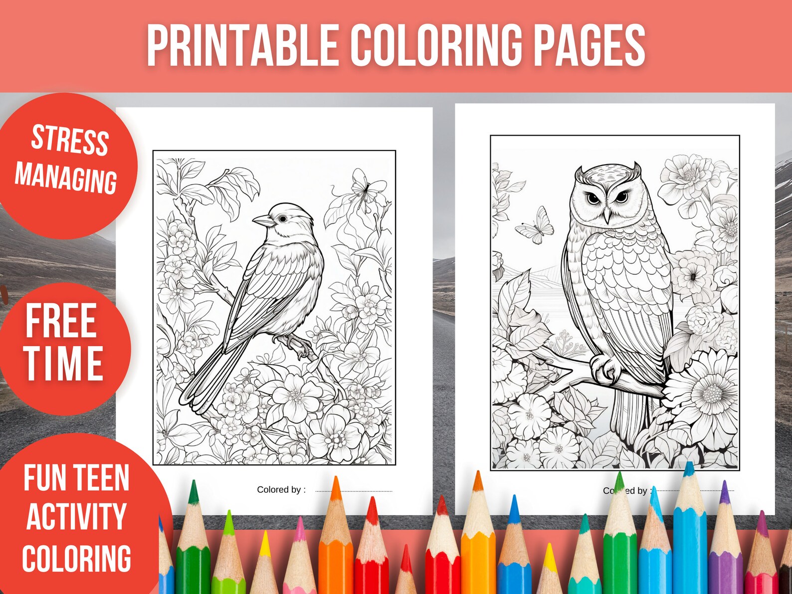 Stress Relief Adult Coloring Book, Bird & Flowers Coloring Pages ...