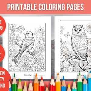 Stress Relief Adult Coloring Book, Bird & Flowers Coloring Pages ...