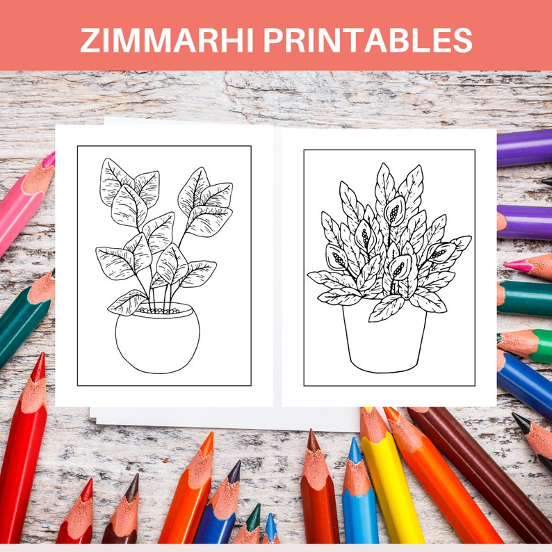 Adult Coloring Pages, Printable Indoor Plants in Pot, Flowering Plant ...