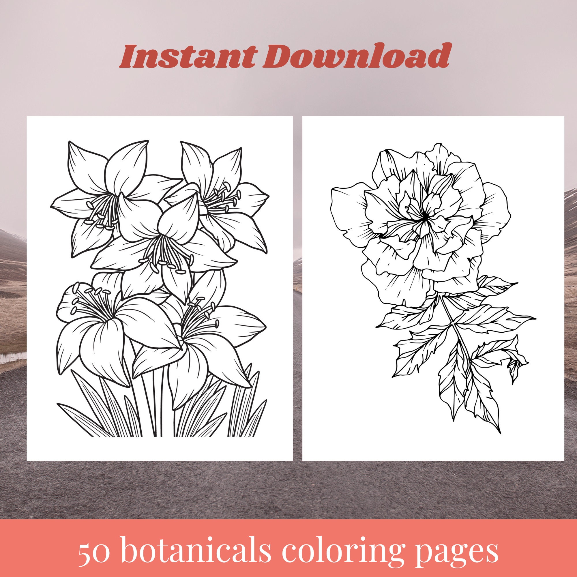 Botanical Coloring Pages Adult Coloring Flowers Coloring - Etsy
