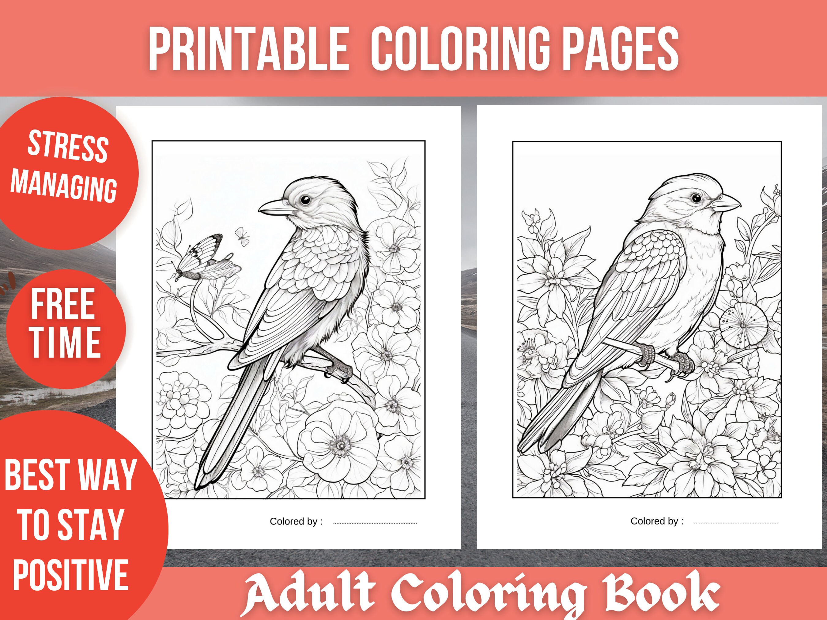 Stress Relief Adult Coloring Book, Bird & Flowers Coloring Pages ...