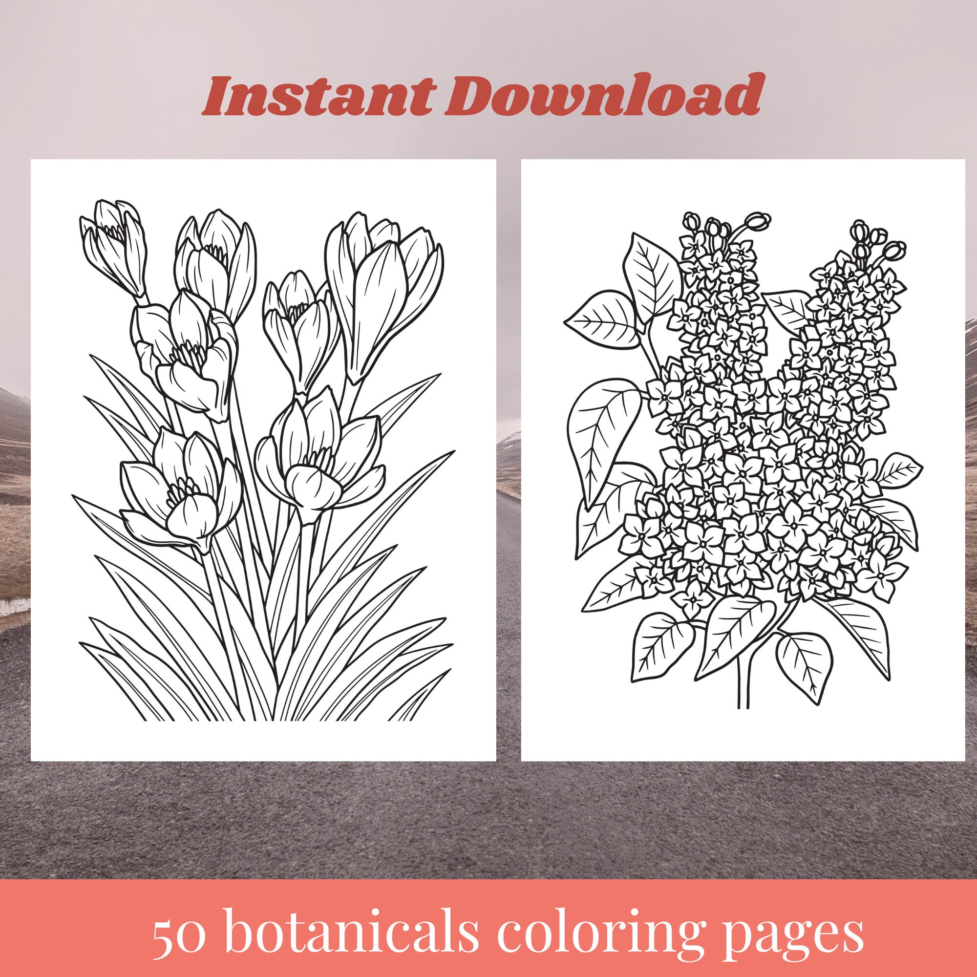 Botanical Coloring Pages, Adult Coloring Flowers, Coloring Sheets PDF ...