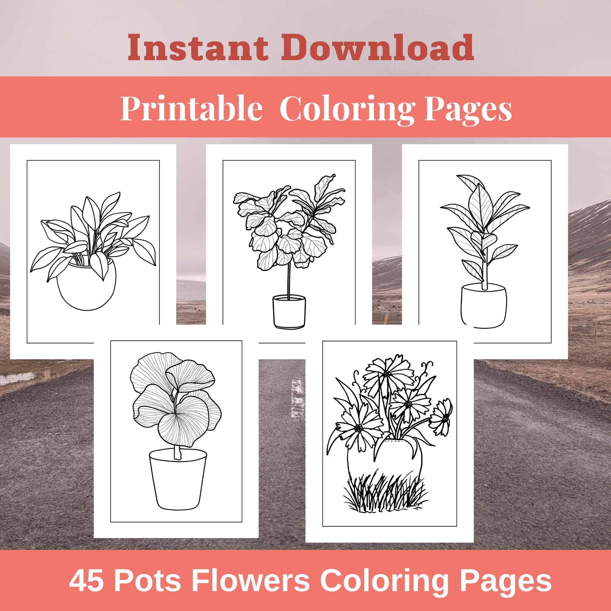Adult Coloring Pages, Printable Indoor Plants in Pot, Flowering Plant ...