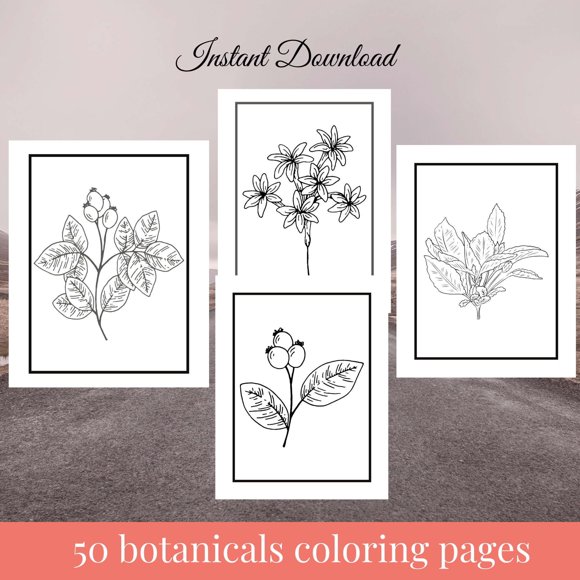 Floral Coloring Pages for Adult 50 Pages Botanical Digital - Etsy