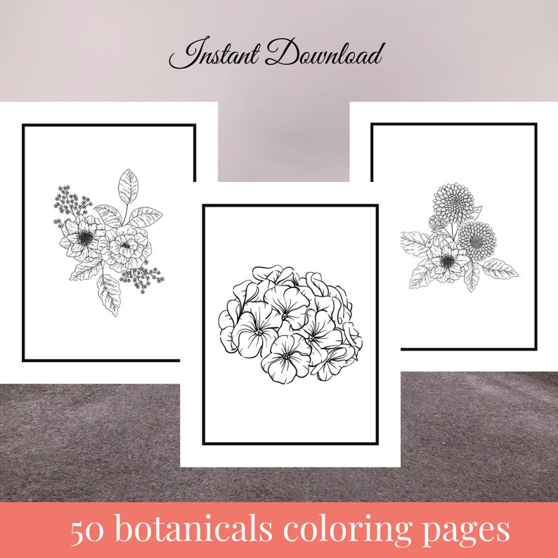 Floral Coloring Pages for Adult 50 Pages Botanical Digital - Etsy