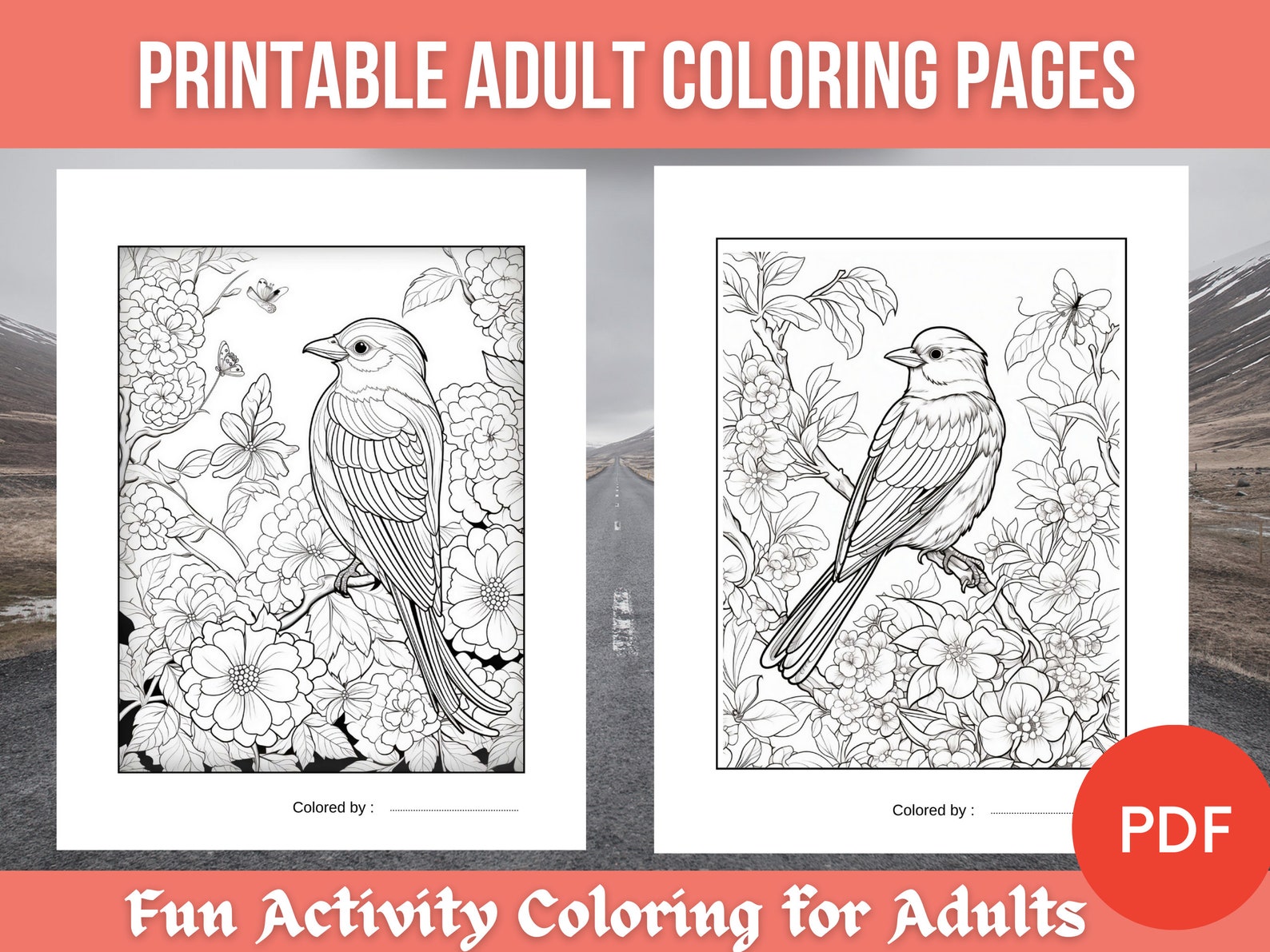 Stress Relief Adult Coloring Book, Bird & Flowers Coloring Pages ...