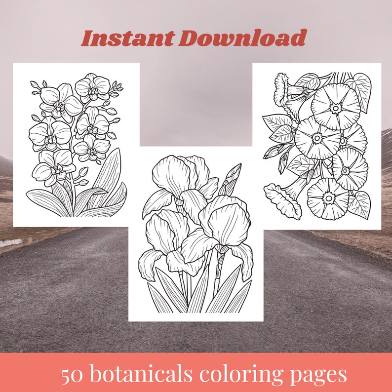 Botanical Coloring Pages Adult Coloring Flowers Coloring - Etsy