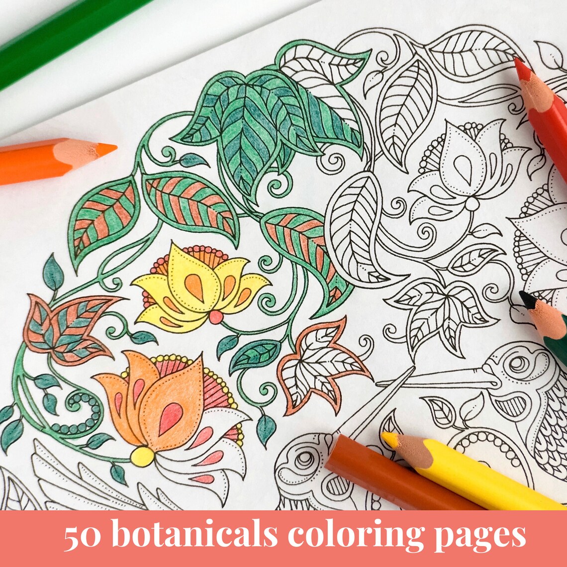 Floral Coloring Pages for Adult 50 Pages Botanical Digital - Etsy