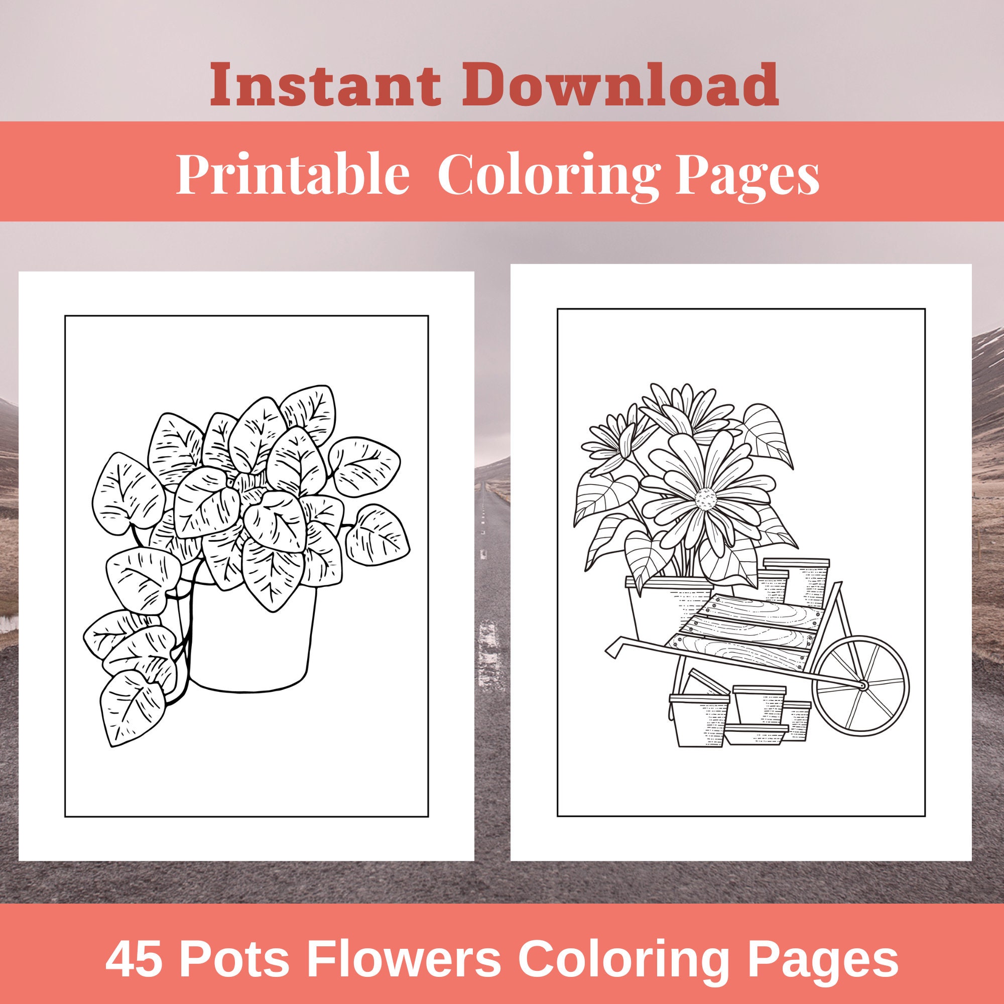 Adult Coloring Pages, Printable Indoor Plants in Pot, Flowering Plant ...