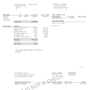 ADP PAYSTUB PDF customization Only Not Editable - Etsy