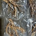 Root Twigs - Etsy