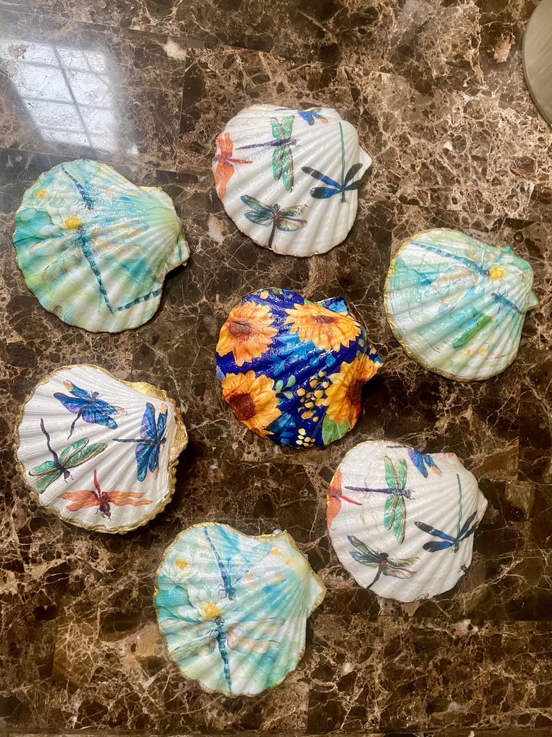 Decoupage Seashells Medium - Etsy