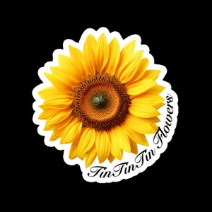 Clearview Jonas Dahlia Seeds pollinator Friendly Open Pollinated ...