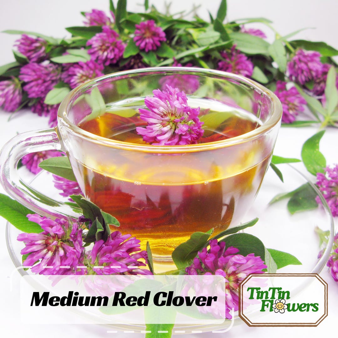 100s|medium Red Clover Seeds -authentic Seeds - Air Purifying ...