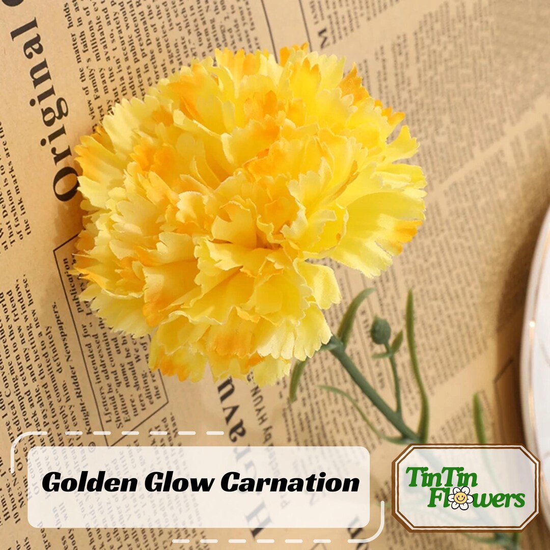 Golden Glow Carnations - Dianthus Seeds - Open-pollinated - Organic ...