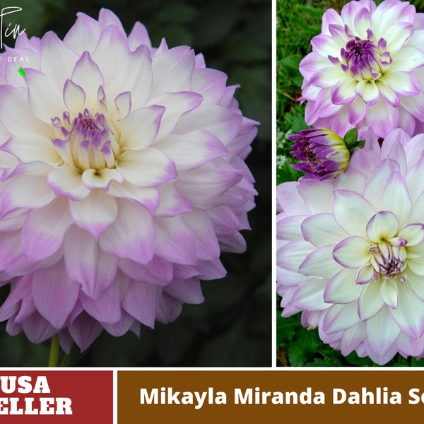 Mikayla - Etsy