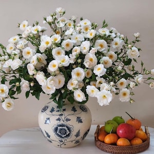 Friendship of Stranger Rose Seeds -perennial - Authentic Seeds - Mix ...