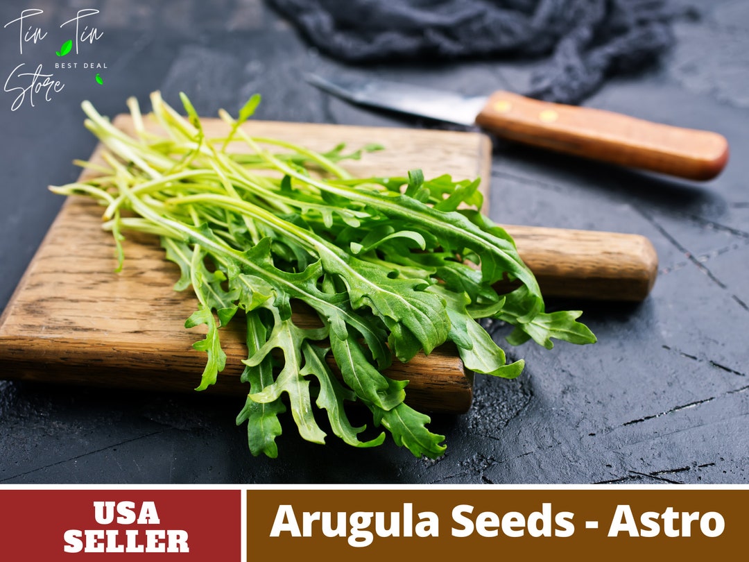 Arugula Seeds Astro Perennial authentic Seeds-flowers organic. Non GMO ...