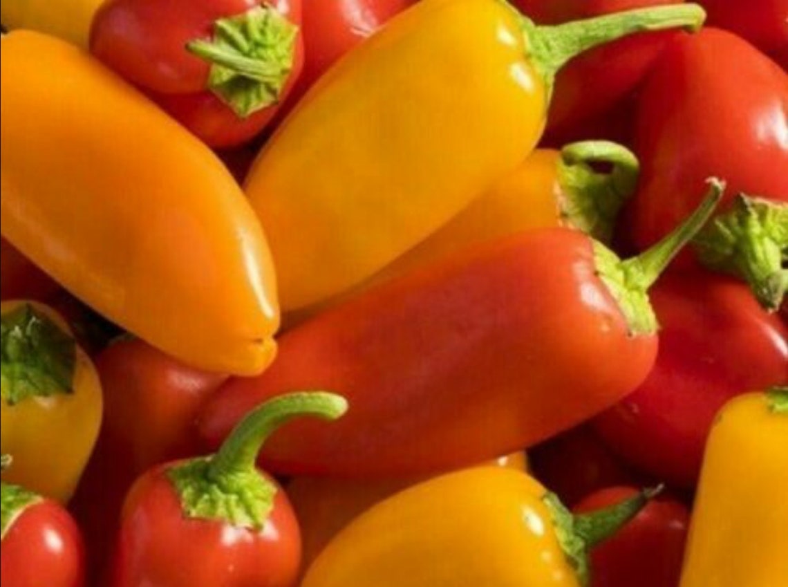 30s| Lunchbox Sweet Pepper Seeds – Heirloom Organic Non-gmo Mini Bell ...