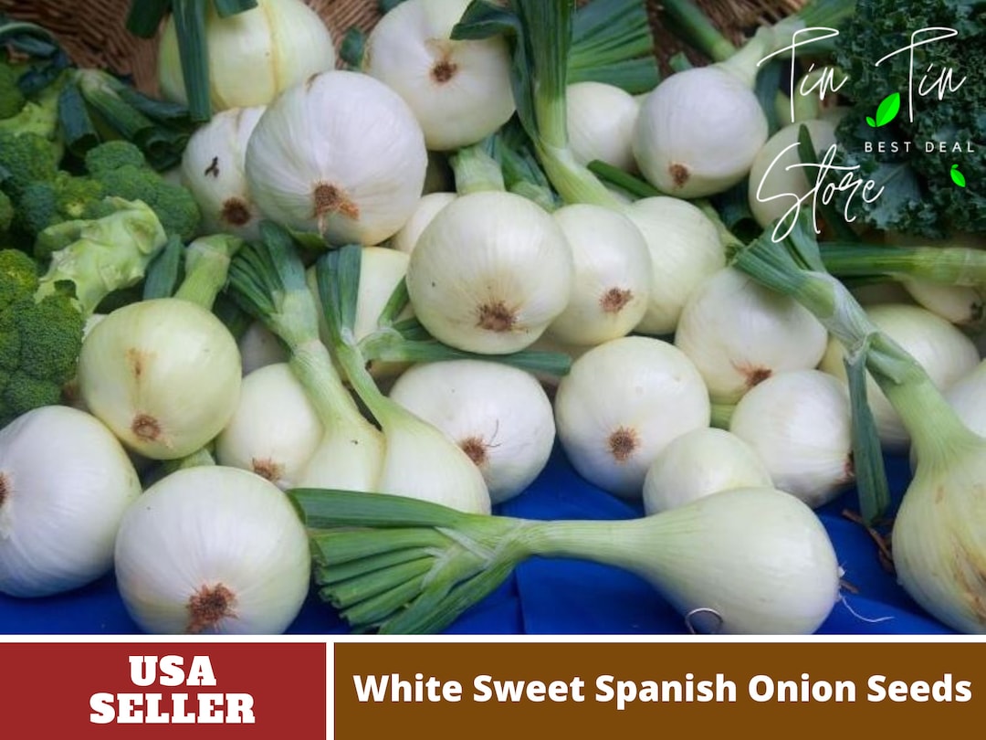 White Sweet Spanish Onion Seeds Vegetable Seedsfruit Asian Garden B3G1 ...