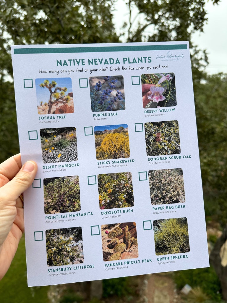 Nevada Native Plants Checklist: Desert Hike Scavenger Hunt (PDF ...