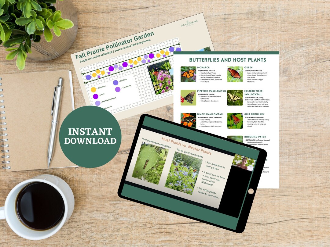 Butterfly Gardening for Beginners - Instant Download - 60 Min. Garden ...