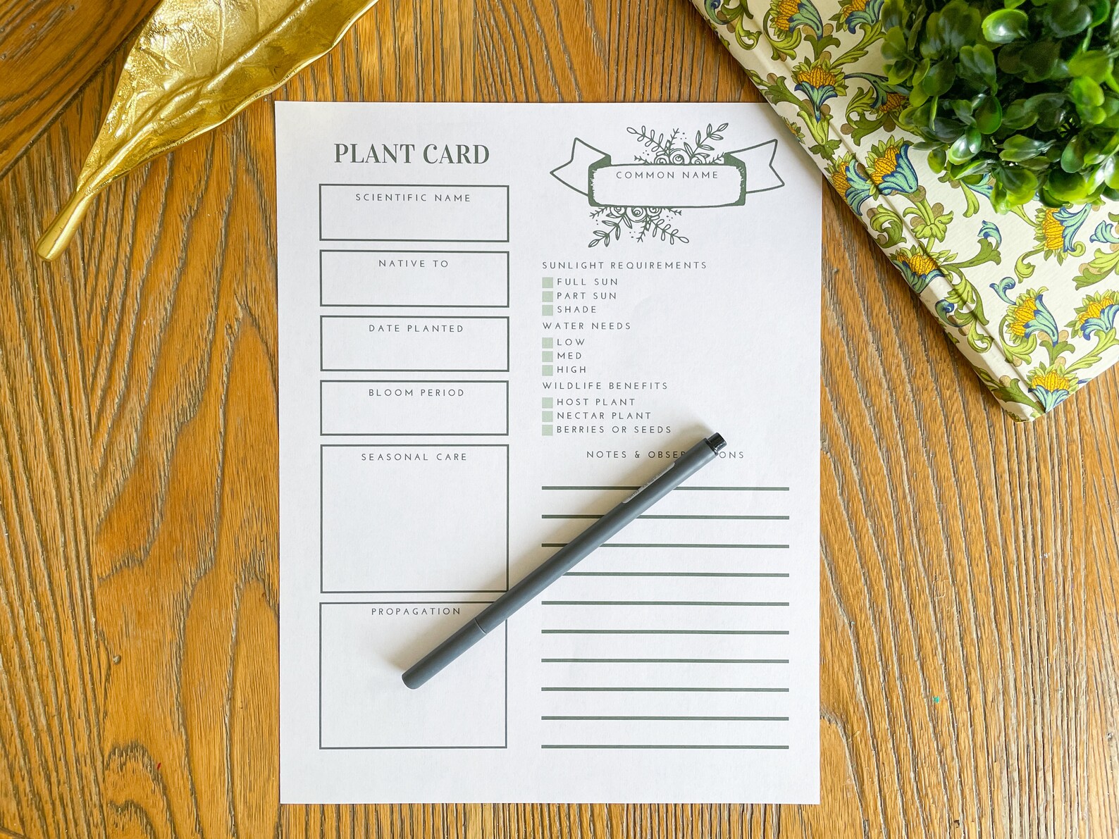 Plant Profile Card Printable PDF Instant Download Plant - Etsy Australia