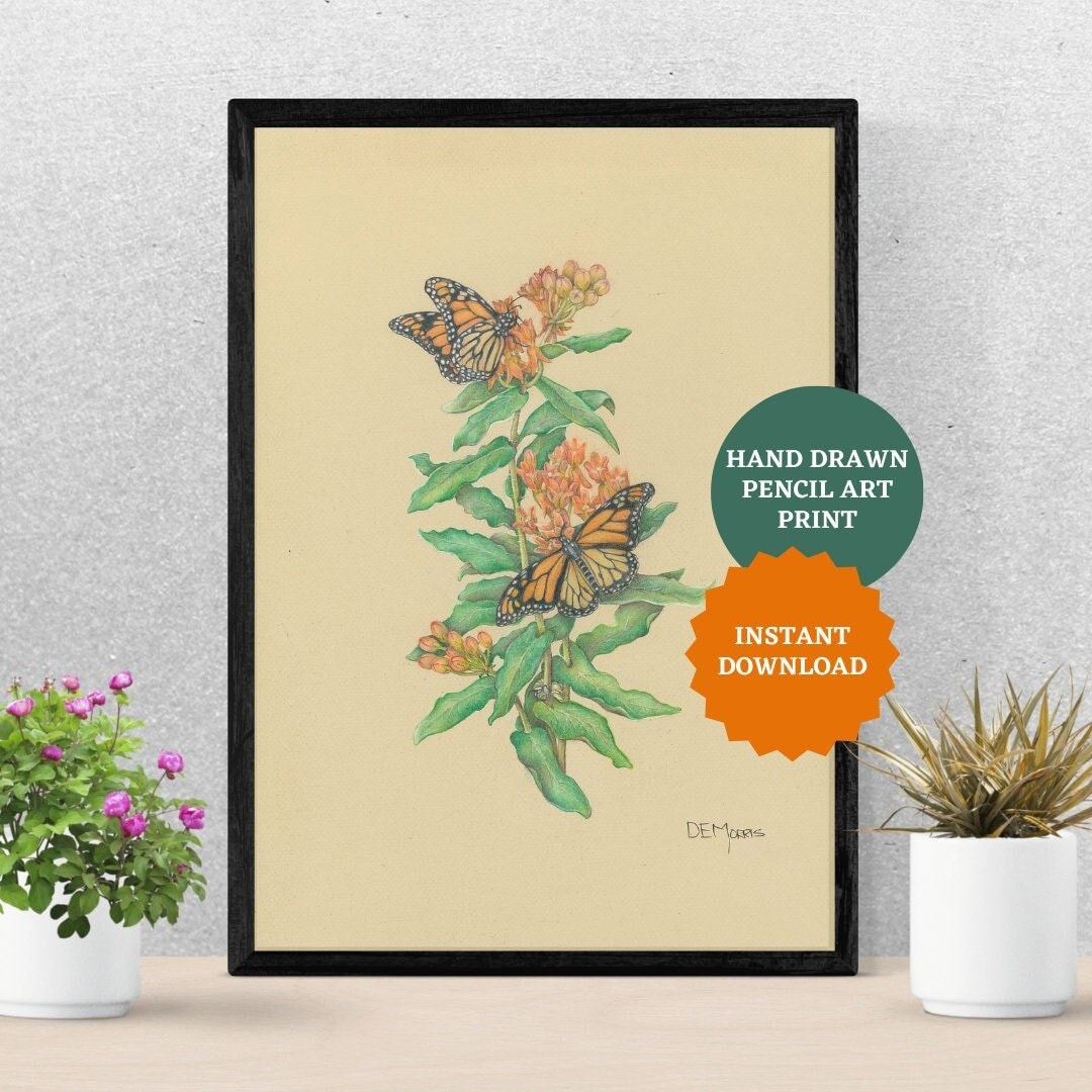 Monarch Butterflies on Milkweed asclepias Tuberosa Digital Print ...