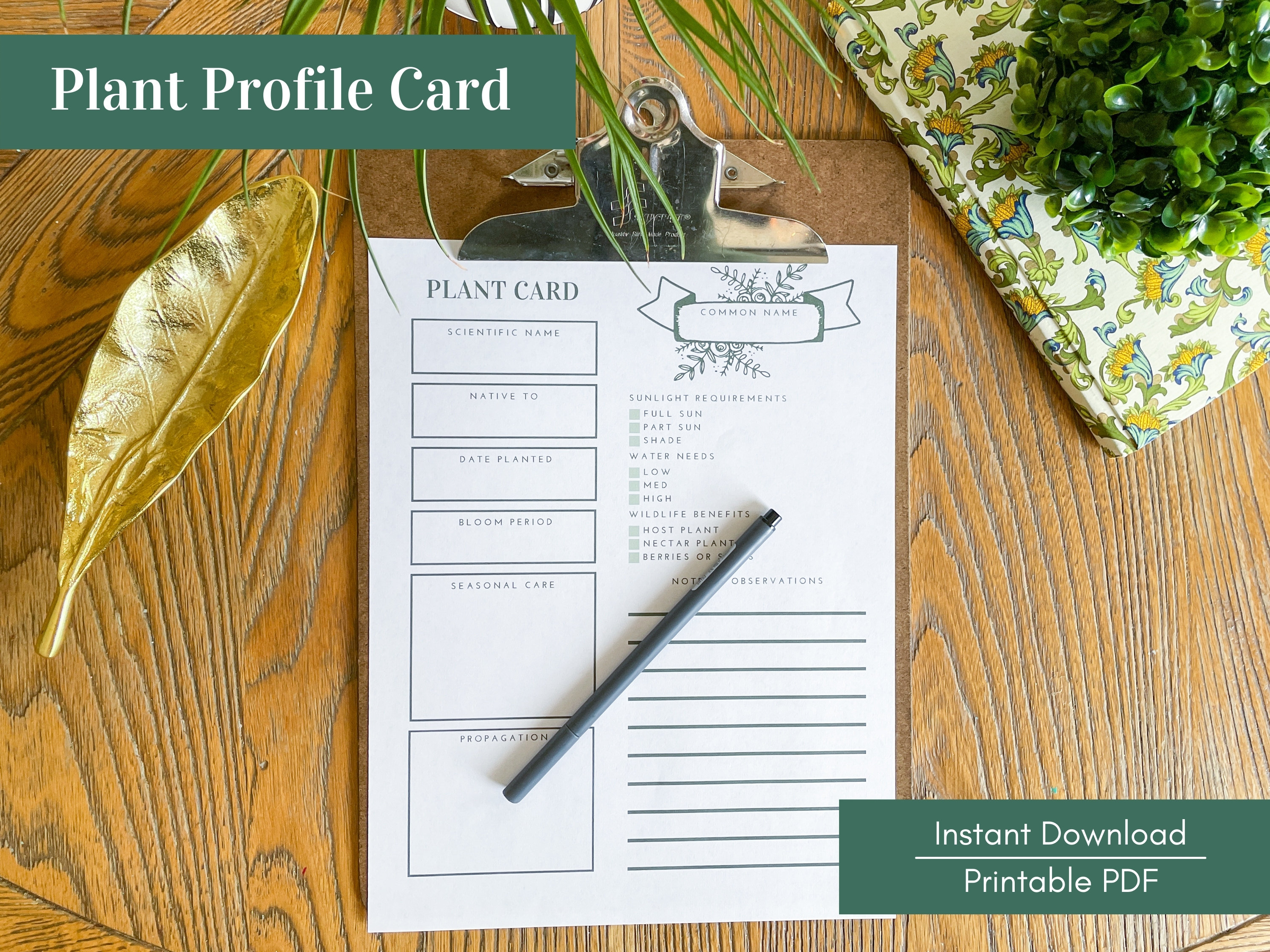 Plant Profile Card Printable PDF Instant Download Plant - Etsy Australia