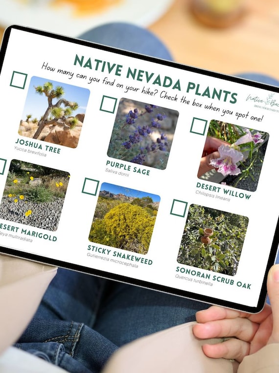 Nevada Plants Identification