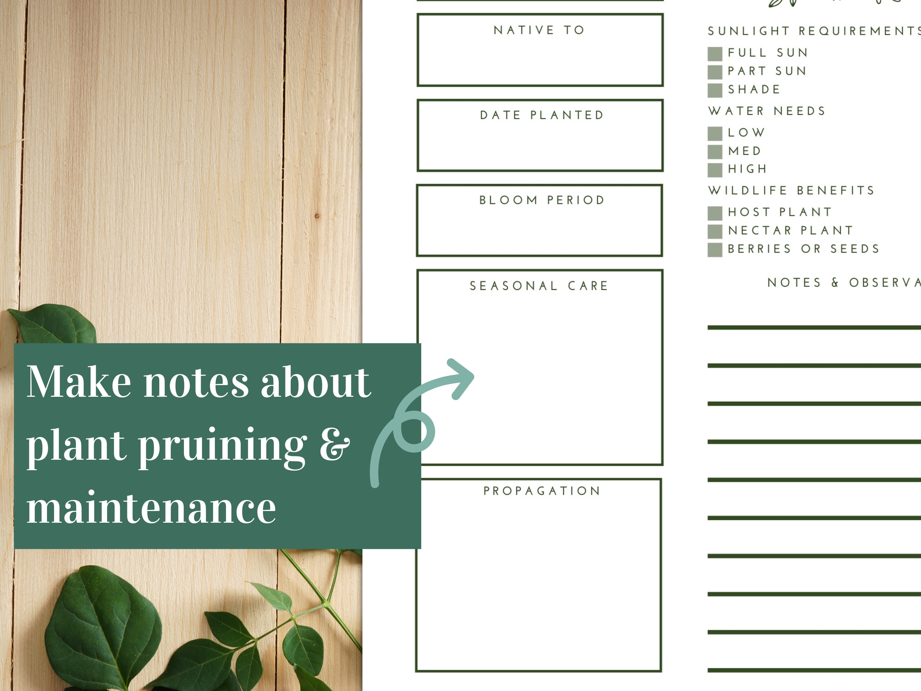 Printable Plant Profile Card: Garden Planner, Plant ID (PDF Download ...