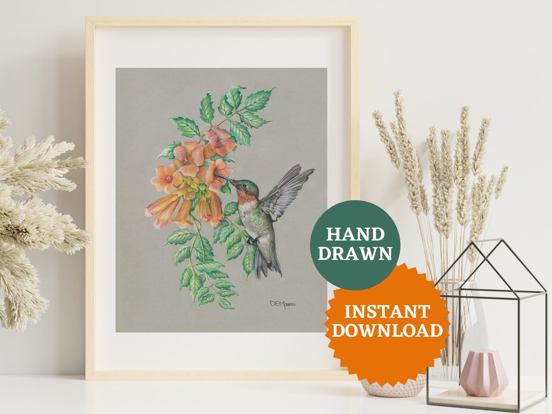 Hummingbird Art PRINTABLE Hand Drawn Gift Hummingbird Wall Art Drawing ...
