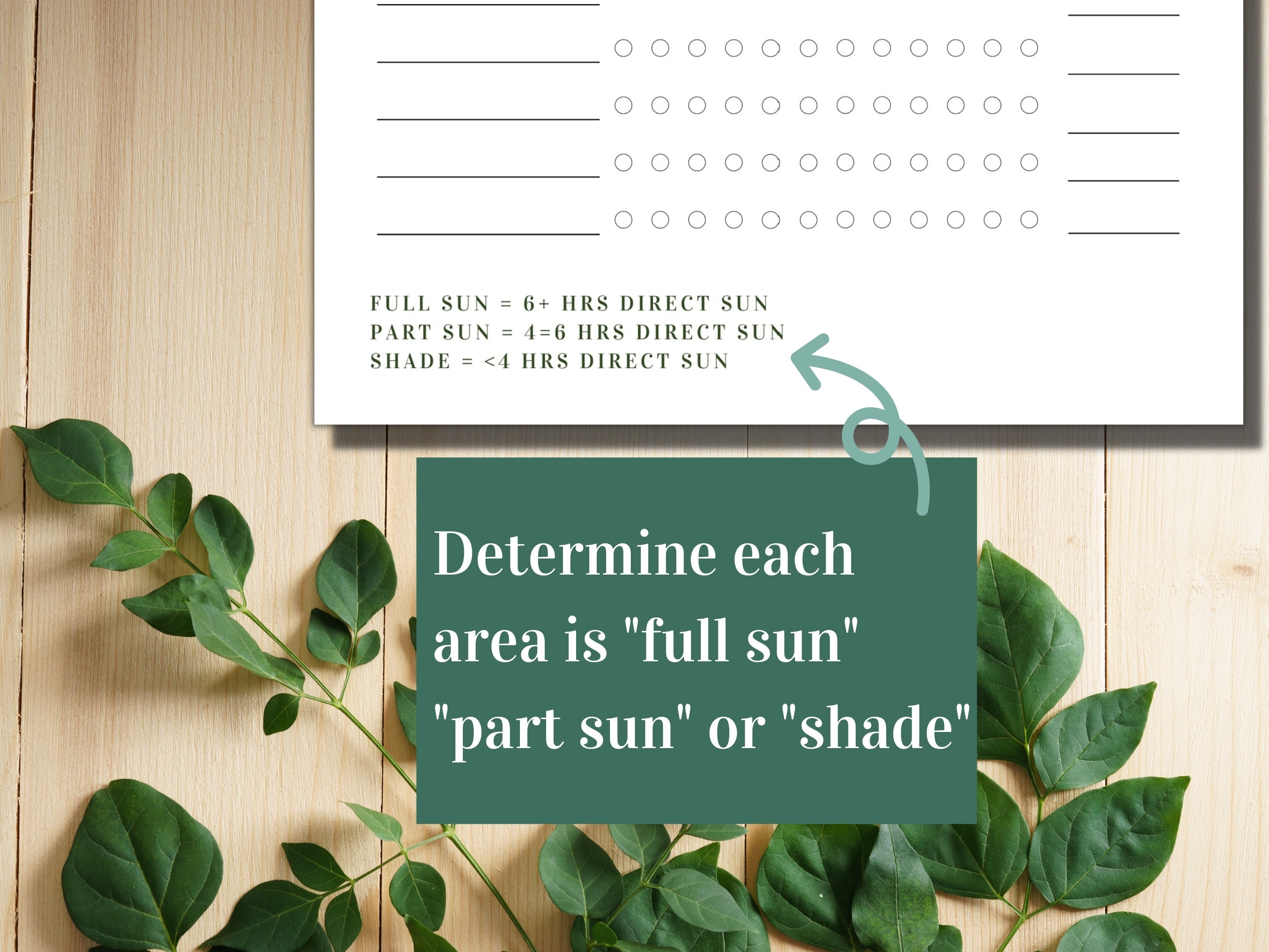 Garden Sun Tracker: Printable Plant Sunlight Needs Planner (PDF ...