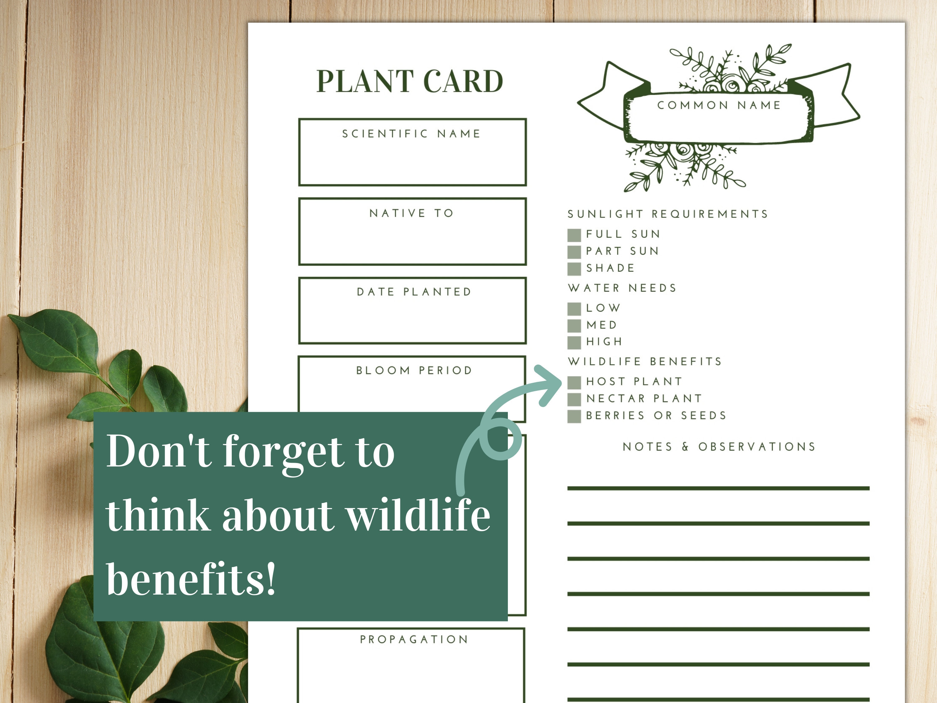 Plant Profile Card Printable PDF Instant Download Plant - Etsy Australia