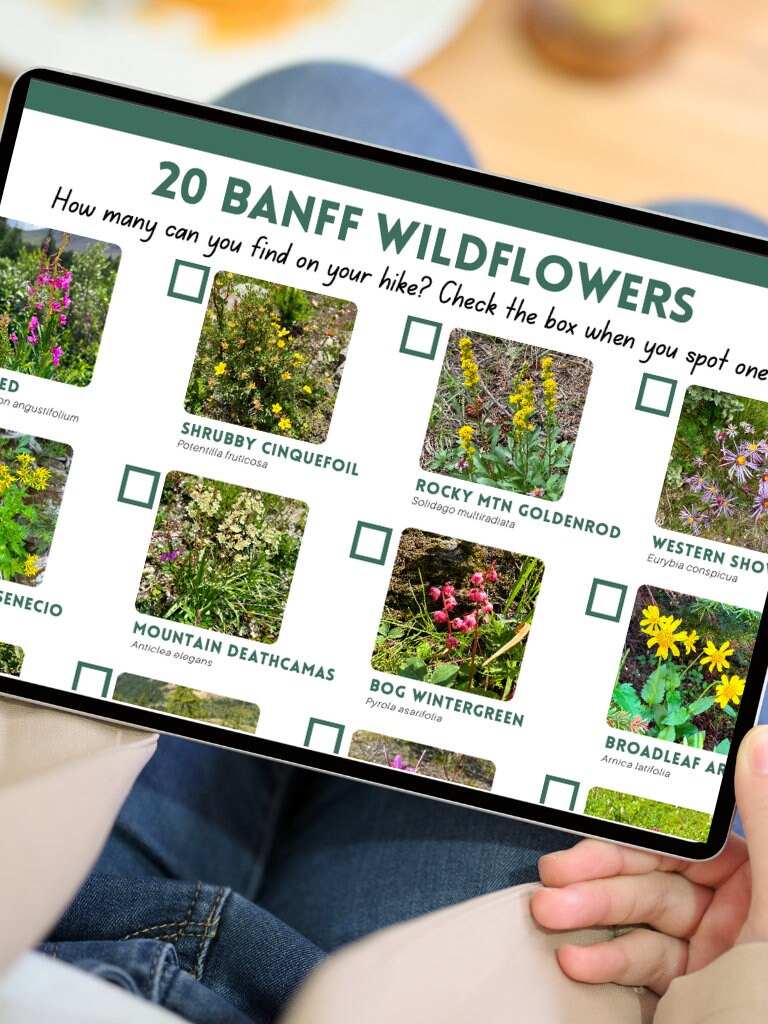 Banff Wildflowers Checklist Canada Wildflowers List - Etsy