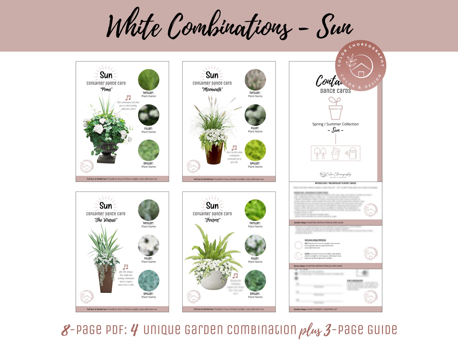 Easy Container Flower Garden Guide Beginner-friendly Potted Flower Plan ...