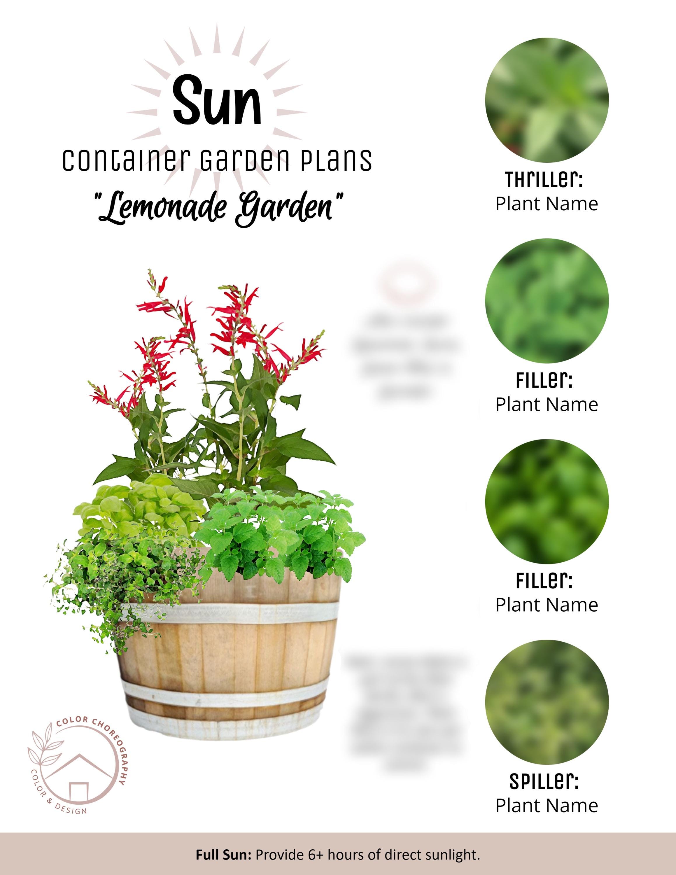 Easy Edible Container Garden Plan Vegetable Herb Garden Design Beginner ...