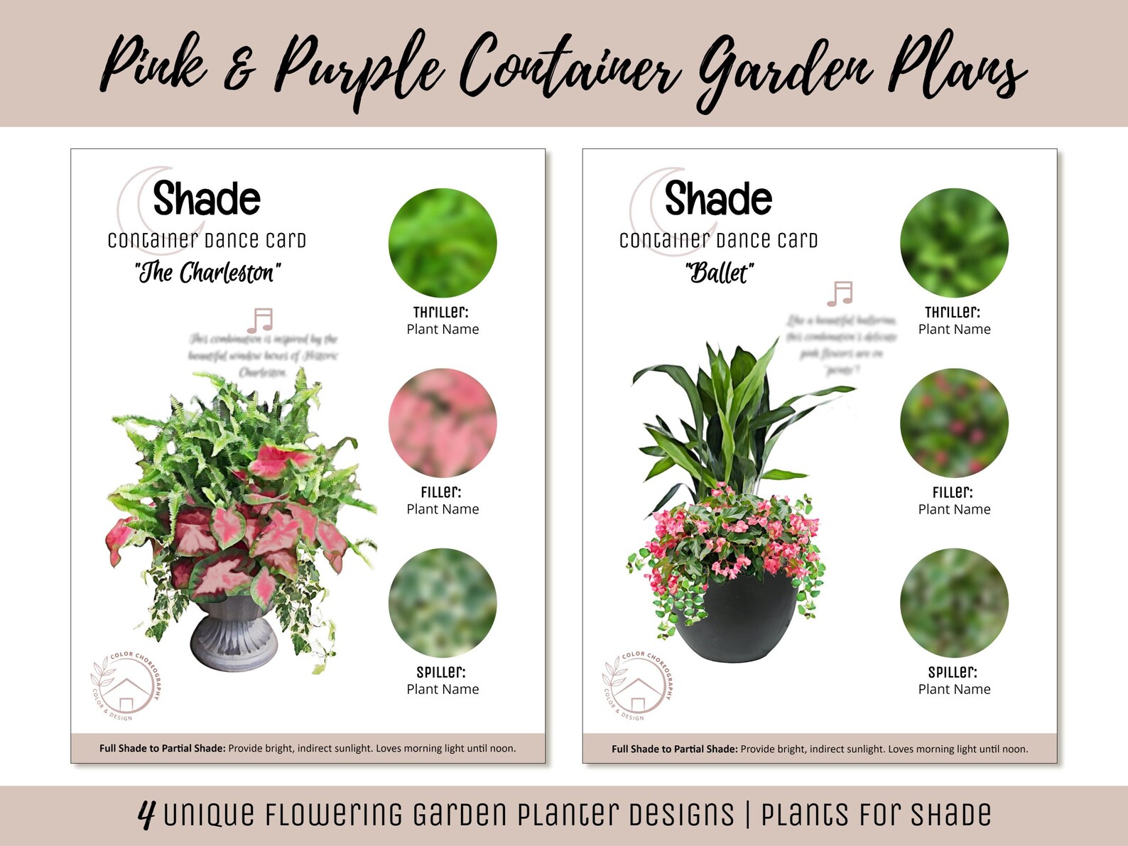 Easy Container Flower Garden Guide Beginner-friendly Potted Flower Plan ...