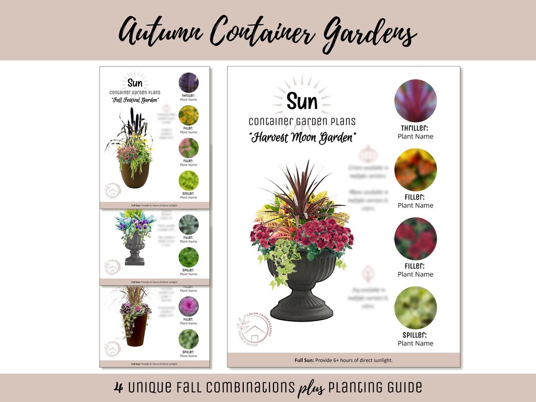 Easy Container Flower Garden Guide Beginner-friendly Potted Flower Plan ...