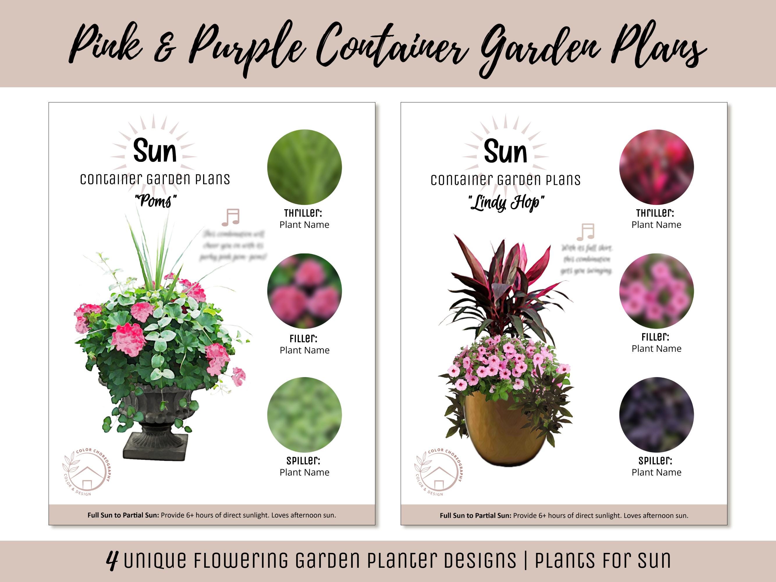 Easy Container Flower Garden Guide Beginner-friendly Potted Flower Plan ...