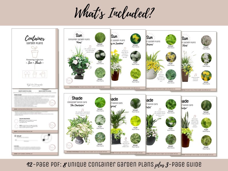 Easy Container Flower Garden Guide Beginner-friendly Potted Flower Plan ...