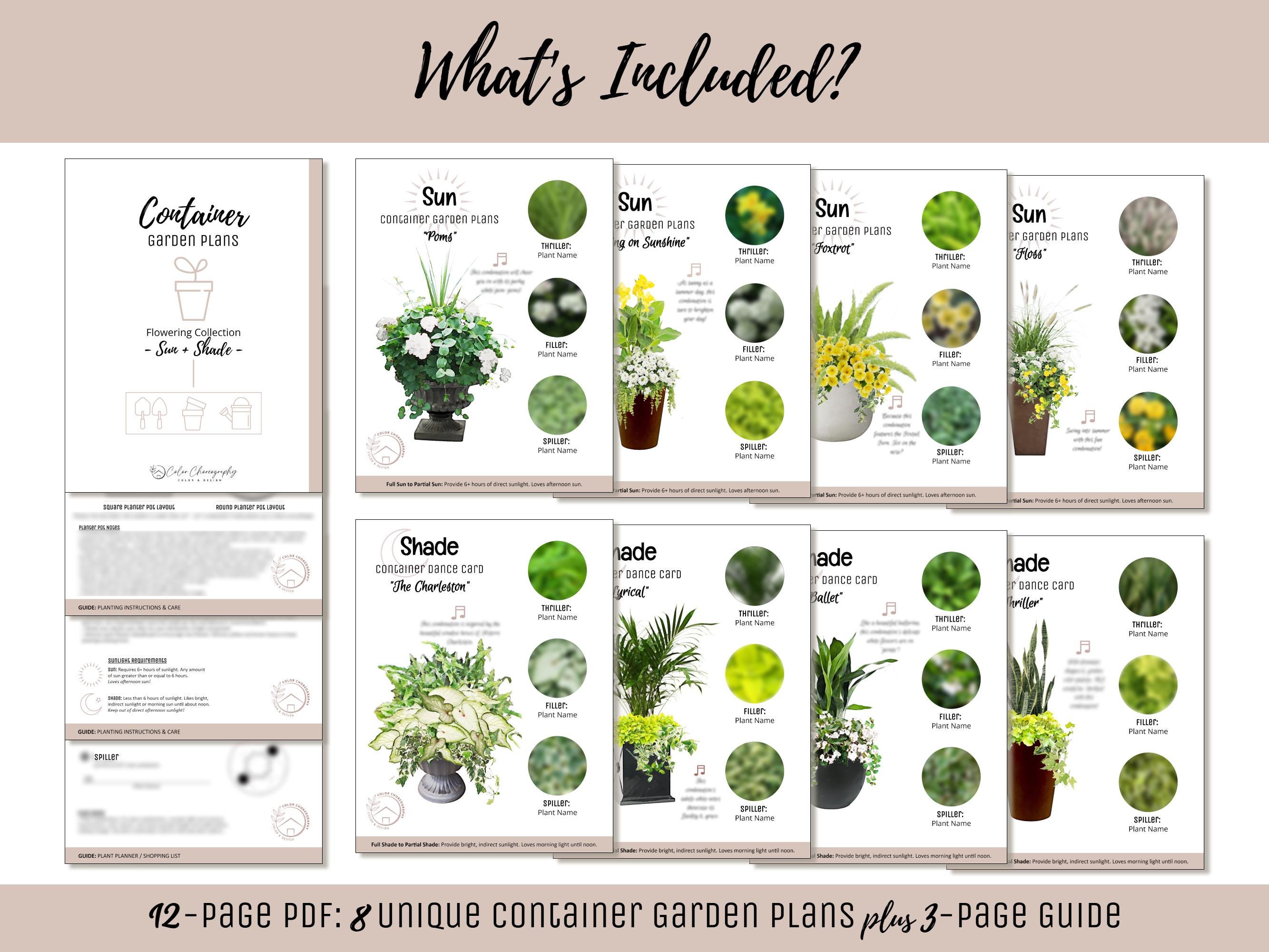 Easy Container Flower Garden Guide Beginner-friendly Potted Flower Plan ...