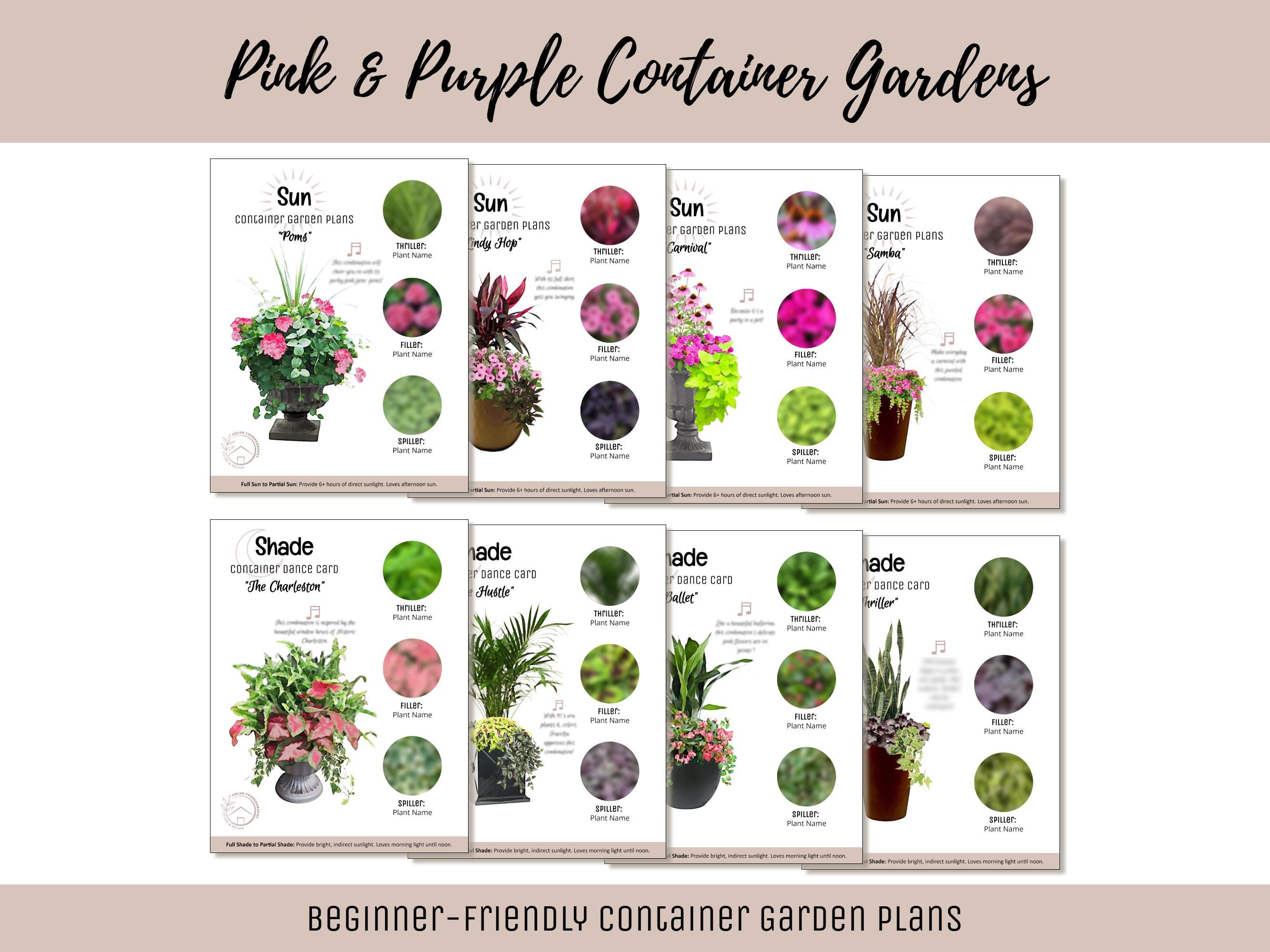 Easy Container Flower Garden Guide Beginner-friendly Potted Flower Plan ...