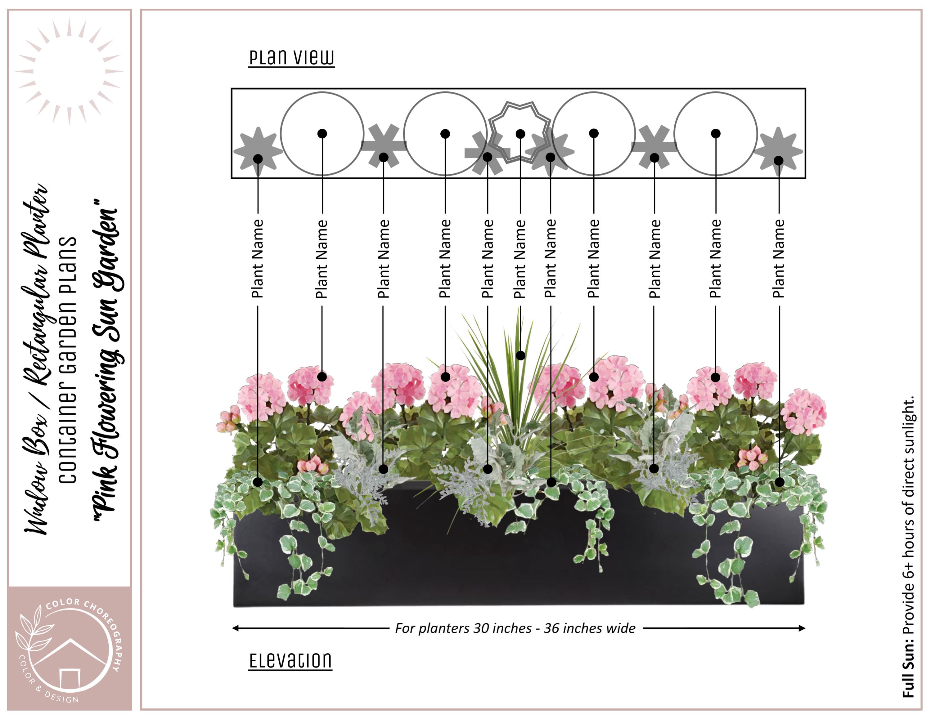 Easy Window Box Flower Garden Guide Beginner-friendly Potted Flower ...