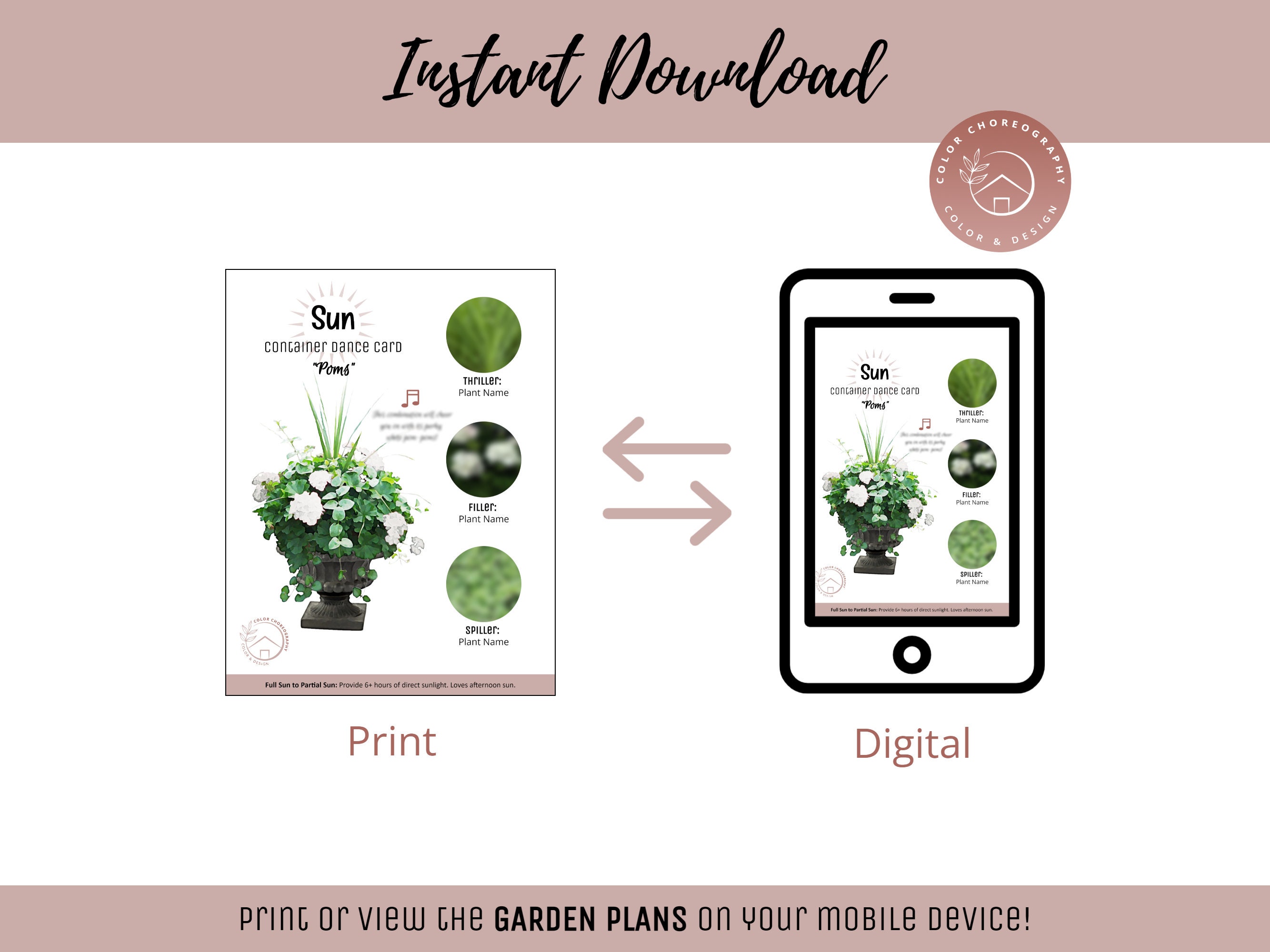 Container Garden Plan, Beginner Garden Guide, How-to Flower Garden ...