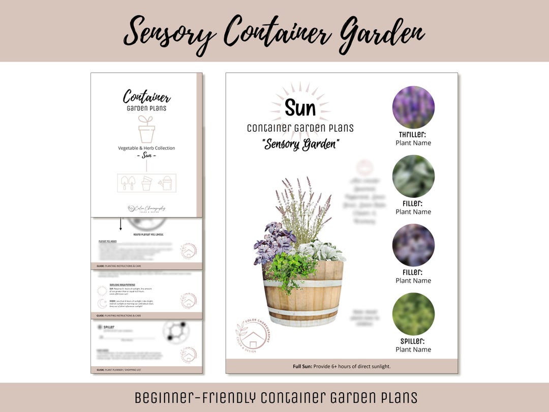 Easy Kids Container Garden Plan Vegetable Herb Garden Design Beginner ...