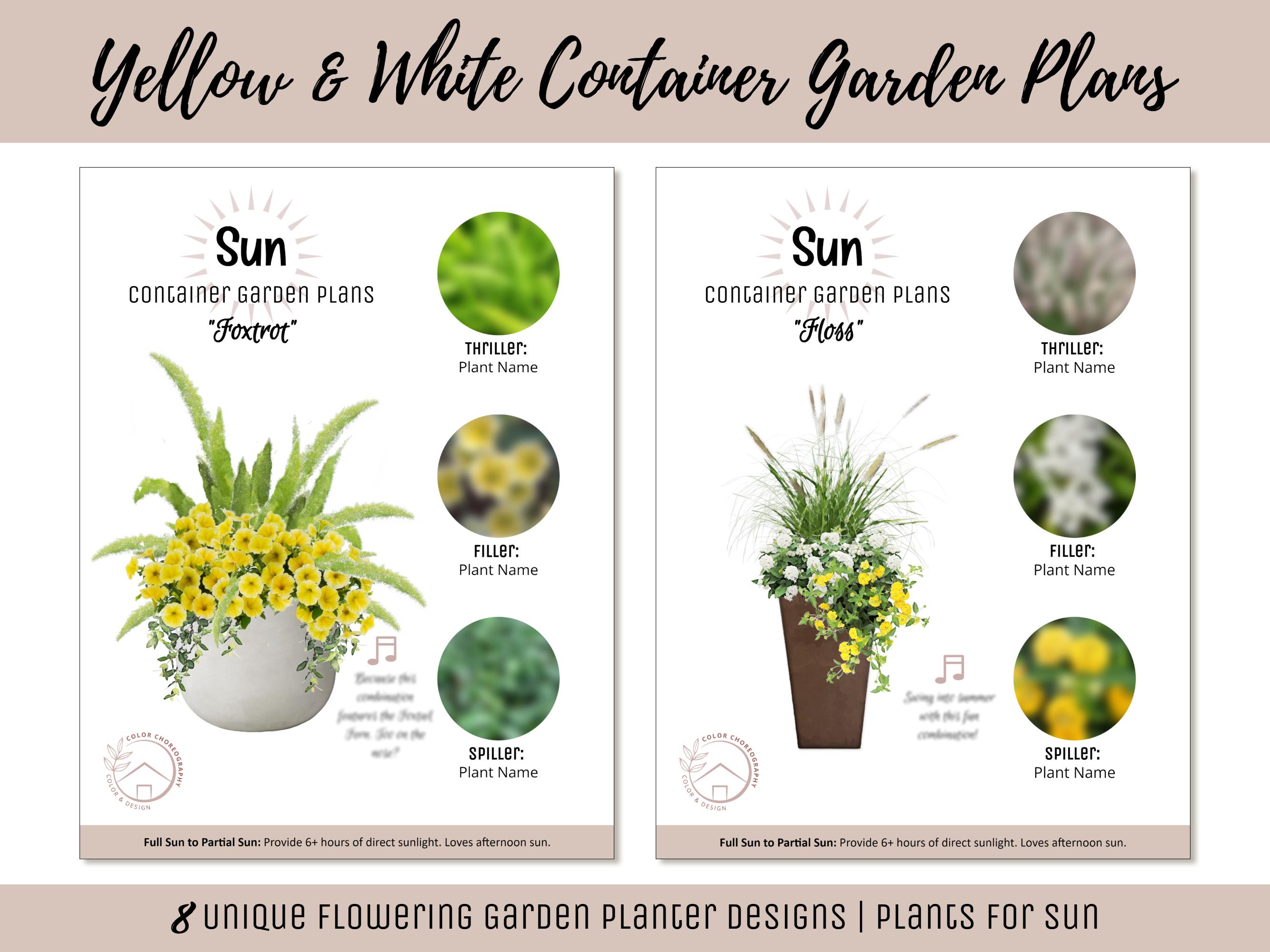 Easy Container Flower Garden Guide Beginner-friendly Potted Flower Plan ...